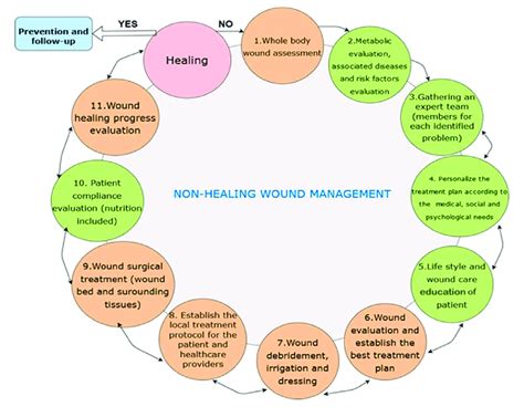 Chronic Wound Assessment Algorithm This System Is Based On A