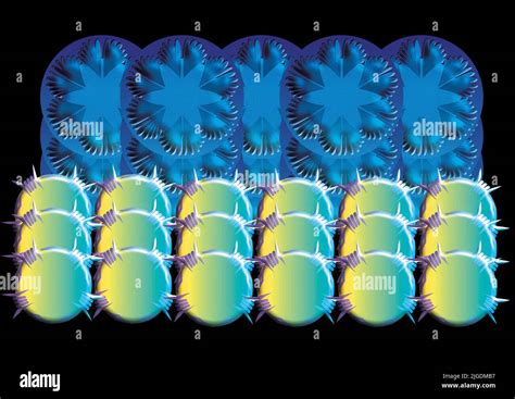 An Illustration Shapes Of Small Bonded Circles Under Round Circles With