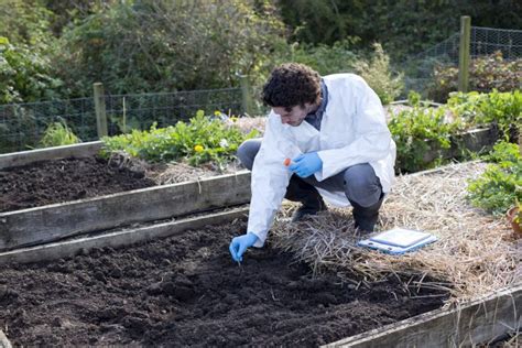 AI Soil Sensors Could Minimise Fertiliser Use In Agriculture