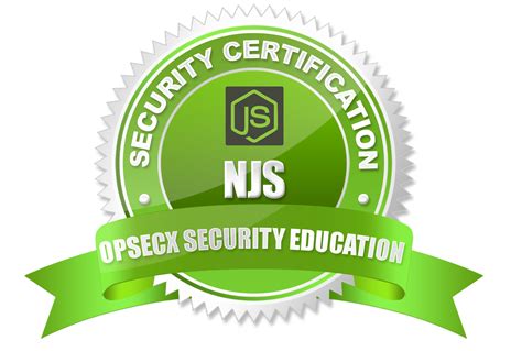 node js security pentesting and exploitation njs opsecx