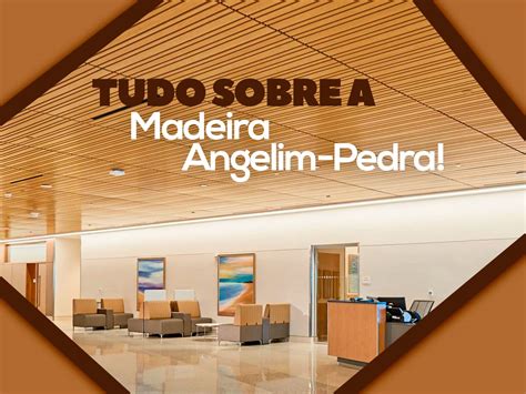 Saiba Tudo Sobre A Madeira Angelim Pedra Madeireira Cedro