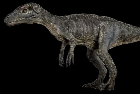 Jurassic World Fallen Kingdom Juvenile Allosaurus Render Rjurassicworld