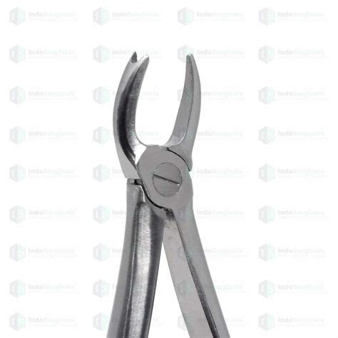 Leading Manufacturer Supplier Of IndoSurgicals Upper Molars Left