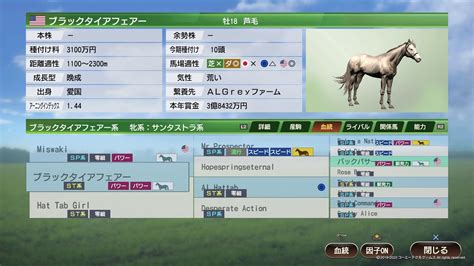 系統確立：ブラックタイアフェアー系（wp9 2022：1976年開始） ウイニングポストプレイメモ