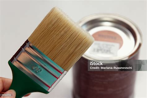 소녀 마스터는 갈색 바니시 캔의 배경에 가구에 바니시를 적용하기위한 큰 두꺼운 새 브러시를 보유하고 있습니다 이러한 브러시는