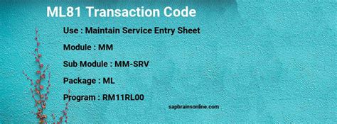 Ml81 Sap Tcode For Maintain Service Entry Sheet Ml81 Sap Tcode For Maintain Service Entry Sheet