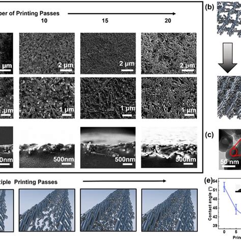 Morphology And Microstructure Of The Structurally Integrated 3d