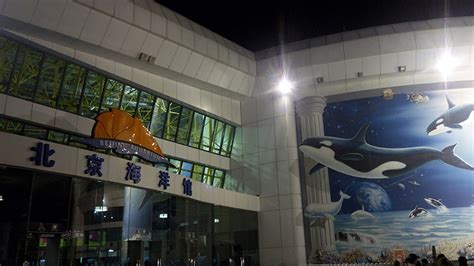 2023北京海洋馆游玩攻略不管你是那种方式，都是要购【去哪儿攻略】