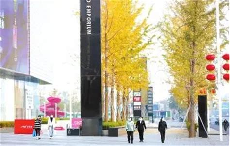 极目锐评郑州开展防疫纠偏整改，其他被点名城市也应积极跟进 极目新闻