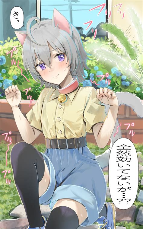 Cat Boi R Cutetraps