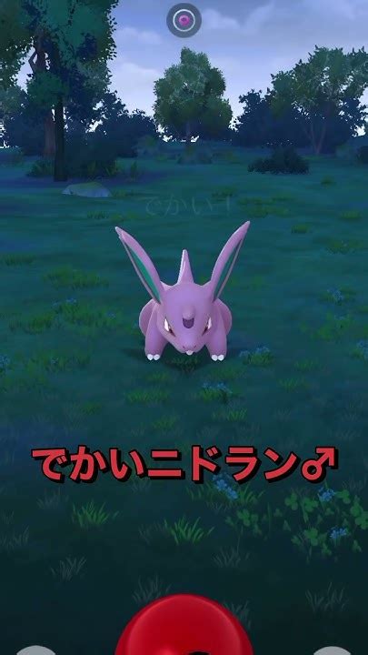 レポート82【お香でガラル3鳥出現！結果は・・・！？】shorts ポケモンgo ポケットモンスター Pokemon