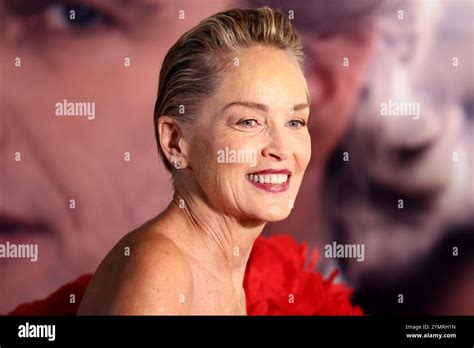 Turin Italy 22nd Nov 2024 Actress Sharon Stone Attends The 42nd