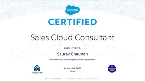 saurav chauhan on linkedin team apisero salesforce developer