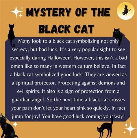 Black Cat Good Luck Artofit