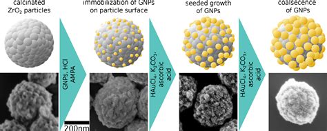 Nanomaterials Free Full Text Seeded Growth Synthesis Of Zirconia Gold Particles In Aqueous
