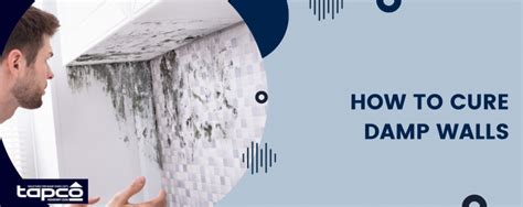 How To Cure Damp Walls Tips And Tricks From The Experts