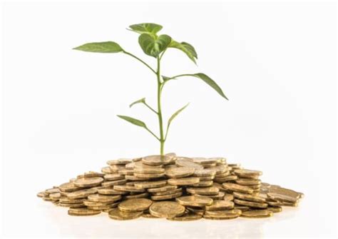 Plan Your Retirement Savings Goals For 2024