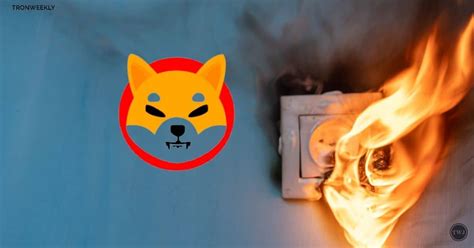 Shiba Inu Burns Skyrocket 456 Shibariums New High Utility