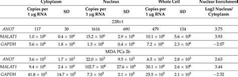 Transcript Copy Numbers In Whole Cell Cytoplasmic And Nuclear RNA Download Scientific Diagram
