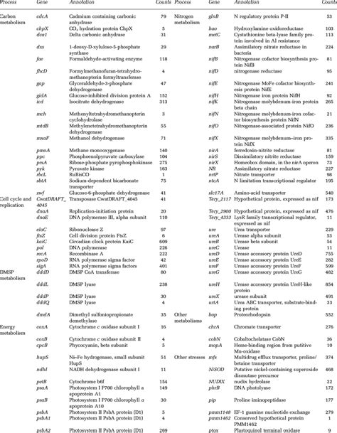 Marker Genes Targeted In The Microtools Microarray Download Table
