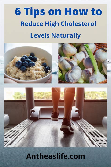 Tips On How To Reduce High Cholesterol Levels Naturally