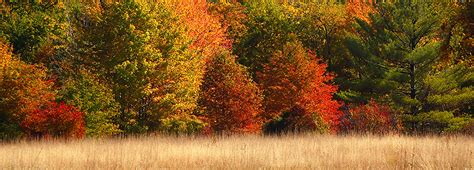 Fall Foliage Tour