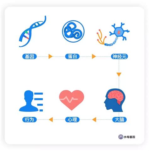 《都挺好》大结局：基因和家庭环境 哪个对性格影响更大？ 中国医疗