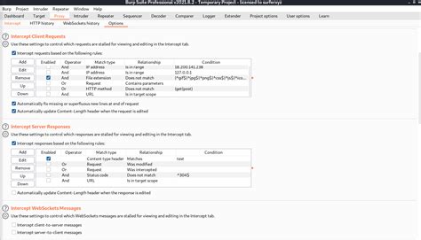 Burpsuite