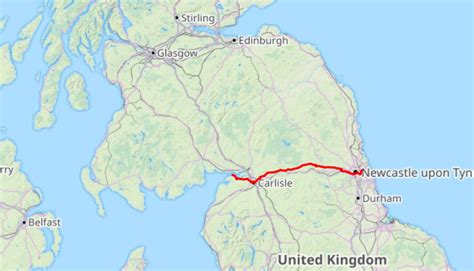 Really Old Things Sheep And Peacocks Ideal Care Technologies