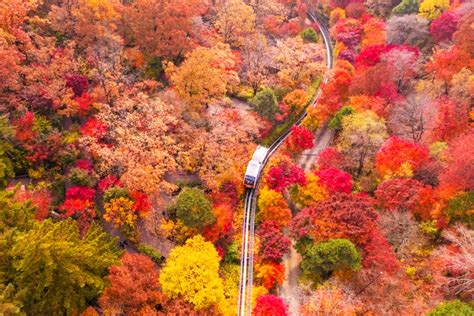 아직 단풍 시작되지도 않았는데 벌써 예약 문의 폭발한다는 국내 여행지 밈미디어