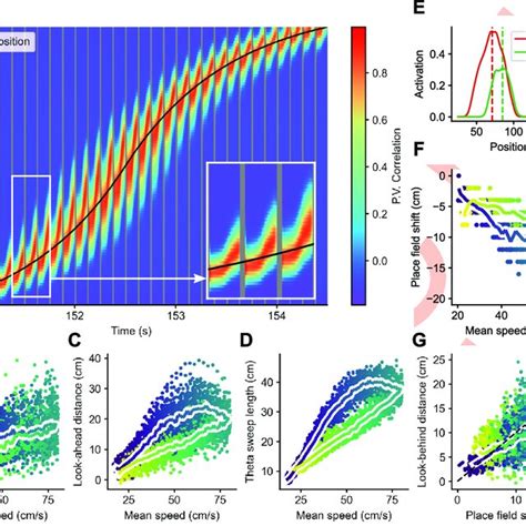 Network Connectivity Models Of Phase Precession And Proposed Mode Of