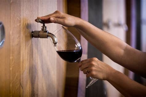 Día del vino argentino por qué se celebra el 24 de noviembre