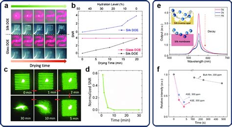Sensor Applications Of Silk A Comparison Between The Glass And Silk