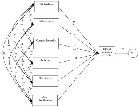 Path Analysis Between Self Compassion And Internet Addiction Download Scientific Diagram
