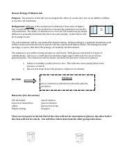 Exploring Molecule Size Effects Through Diffusion Lab Experiment Course Hero