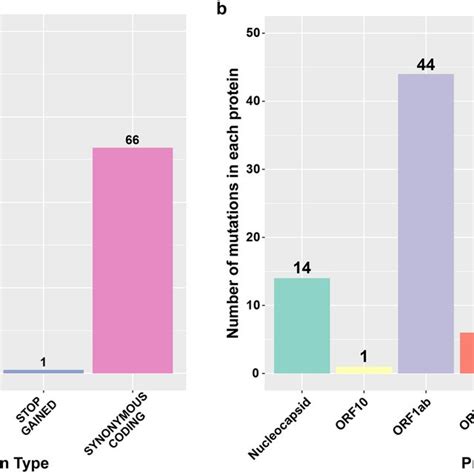 Phylogenetic Analysis Of 110 Sars Cov 2 Samples Included In This Study
