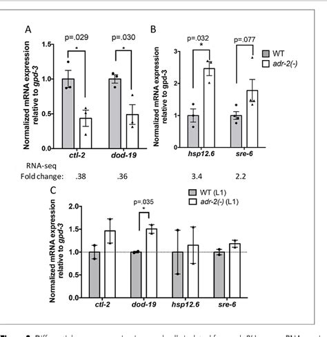 Figure 3 From The C Elegans Neural Editome Reveals An Adar Target Mrna Required For Proper