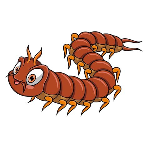 Premium Vector Cartoon Centipede Isolated On White Background