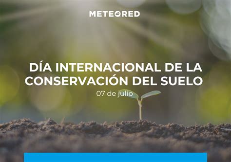 Día Internacional De La Conservación Del Suelo 2025 Recuperar El Suelo