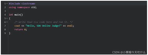 【sduoj】代码编辑器的使用codemirror Mode Csdn博客