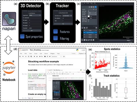 Overview Of Stracking Library Implemented In Its Napari Plugin A C