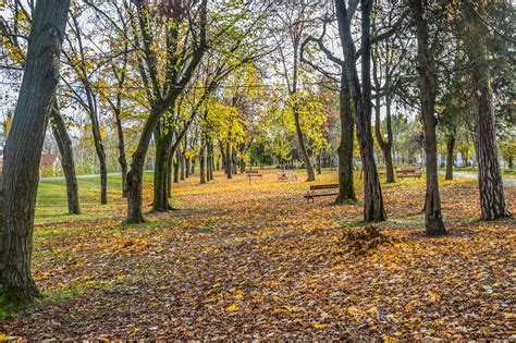 性质 秋季 森林 Pixabay上的免费照片 Pixabay