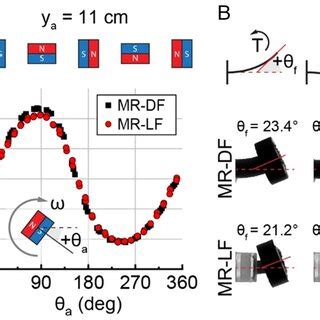 Comparison Of Body Flexibility Between The MRDF And MRLF Designs A Download Scientific