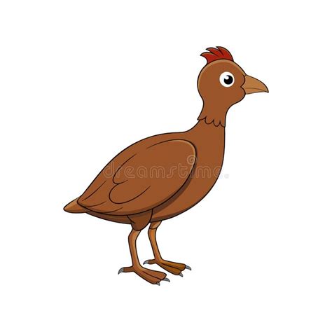 Vivid Choco Tinamou Bird Design Stock Illustration Illustration Of Wing Stylish 367935762