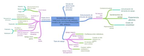 TeorÍa Del Apego Vinculo Estilo De Apego Fases De La ConstrucciÓn Del