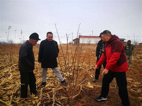 我院与盐源县白乌镇马坝村结成“城乡党建结对共建”行动对子 信息中心 凉山州林业调查规划设计院
