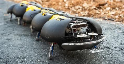 Robotic Bugs Are Creating A Buzz In Agriculture Digital CxO