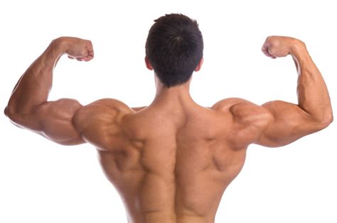 Fisiculturista Musculação Flexionando Músculos Posando Bíceps Para Trás