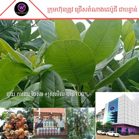 ក្រុមហ៊ុន កសិកម្ម ត្រូវការជ្រើសរើស តំណាងដេប៉ូជា បន្ទាន់