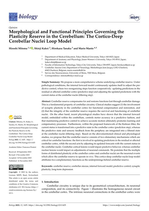 Pdf Morphological And Functional Principles Governing The Plasticity Reserve In The Cerebellum
